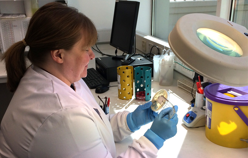 Clinical Research Network – Northern Ireland’s Largest Research ...